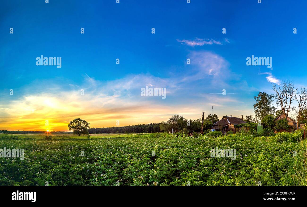 Morning countryside landscape. Beautiful sunrise over garden in a ...