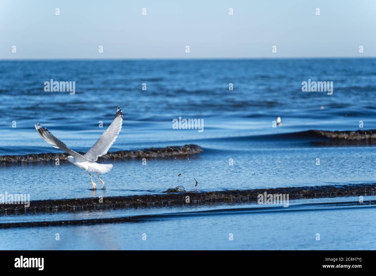 Unclean beach hi-res stock photography and images - Alamy