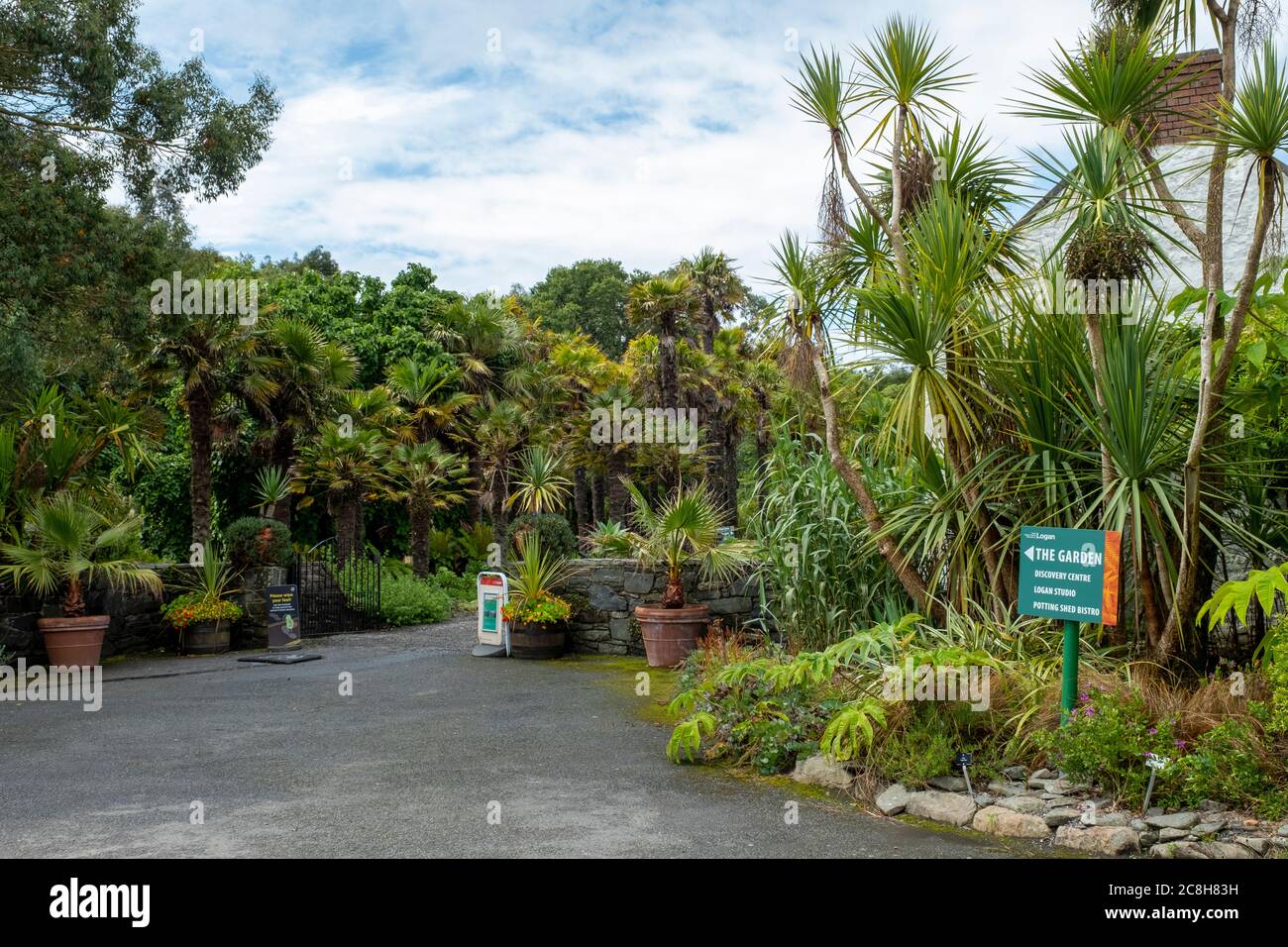 Logan Botanic gardens, Rhins of Galloway, Scotland, UK Stock Photo - Alamy