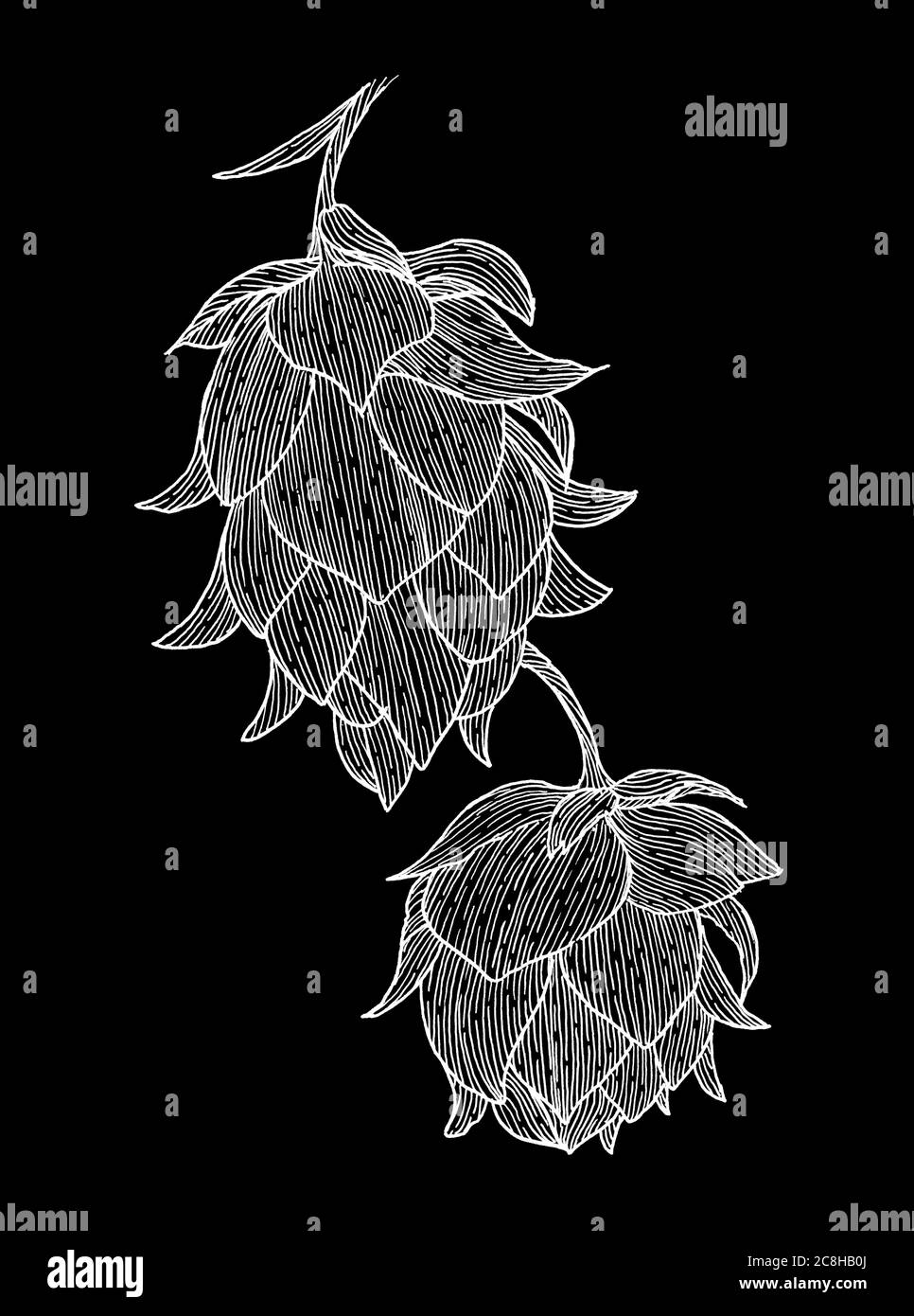 Hop line ink isolated on black background Stock Photo - Alamy