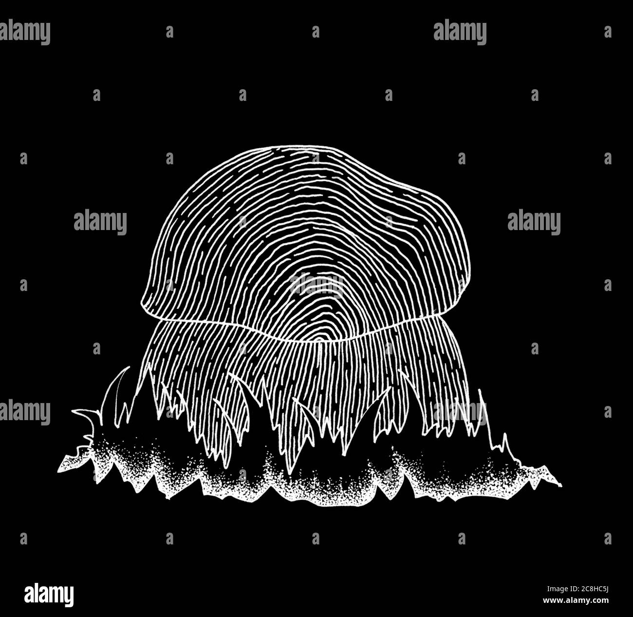 Northern Lights Tattoo Black And White