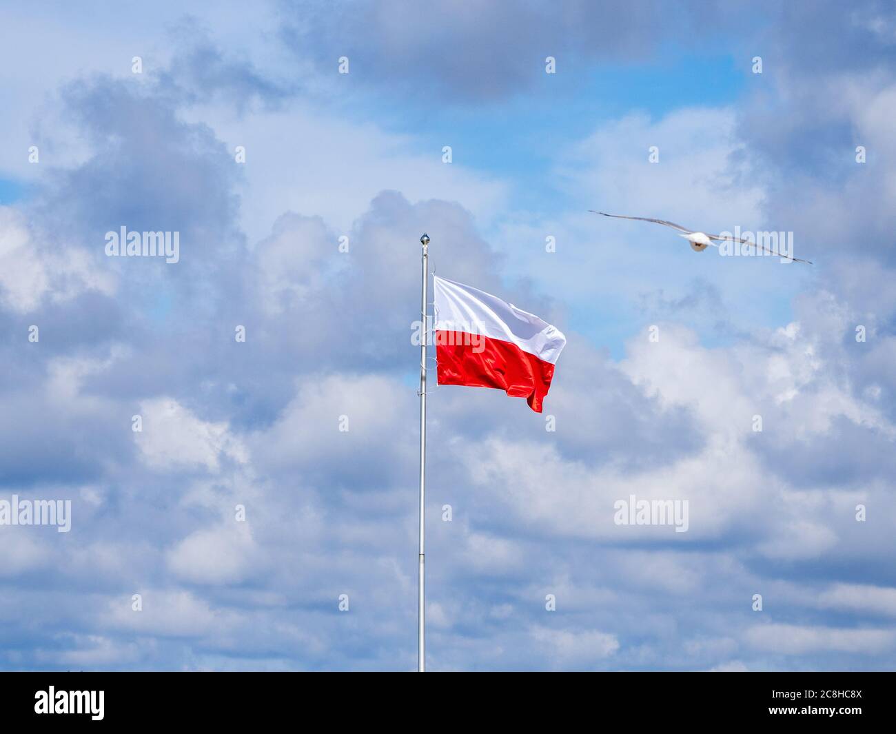 on a flagpole the red and white flag of Poland is waving Stock Photo ...