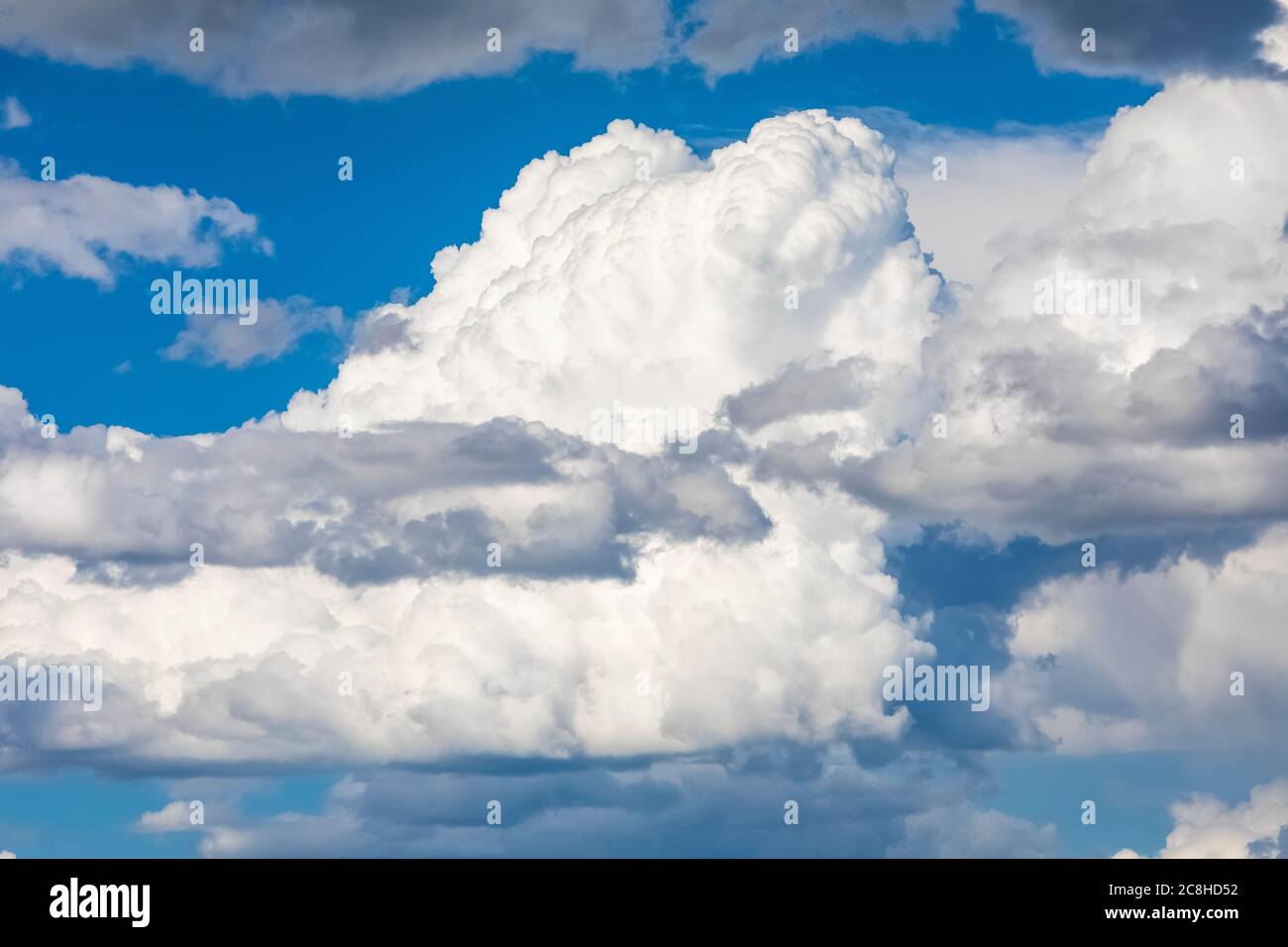 Cumulonimbus calvus clouds building above Little Missouri National ...