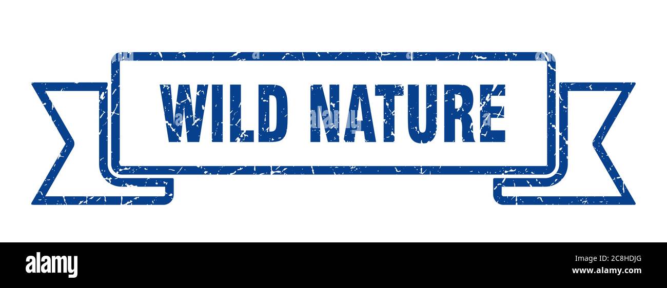 wild nature ribbon sign. wild nature vintage retro band Stock Vector ...