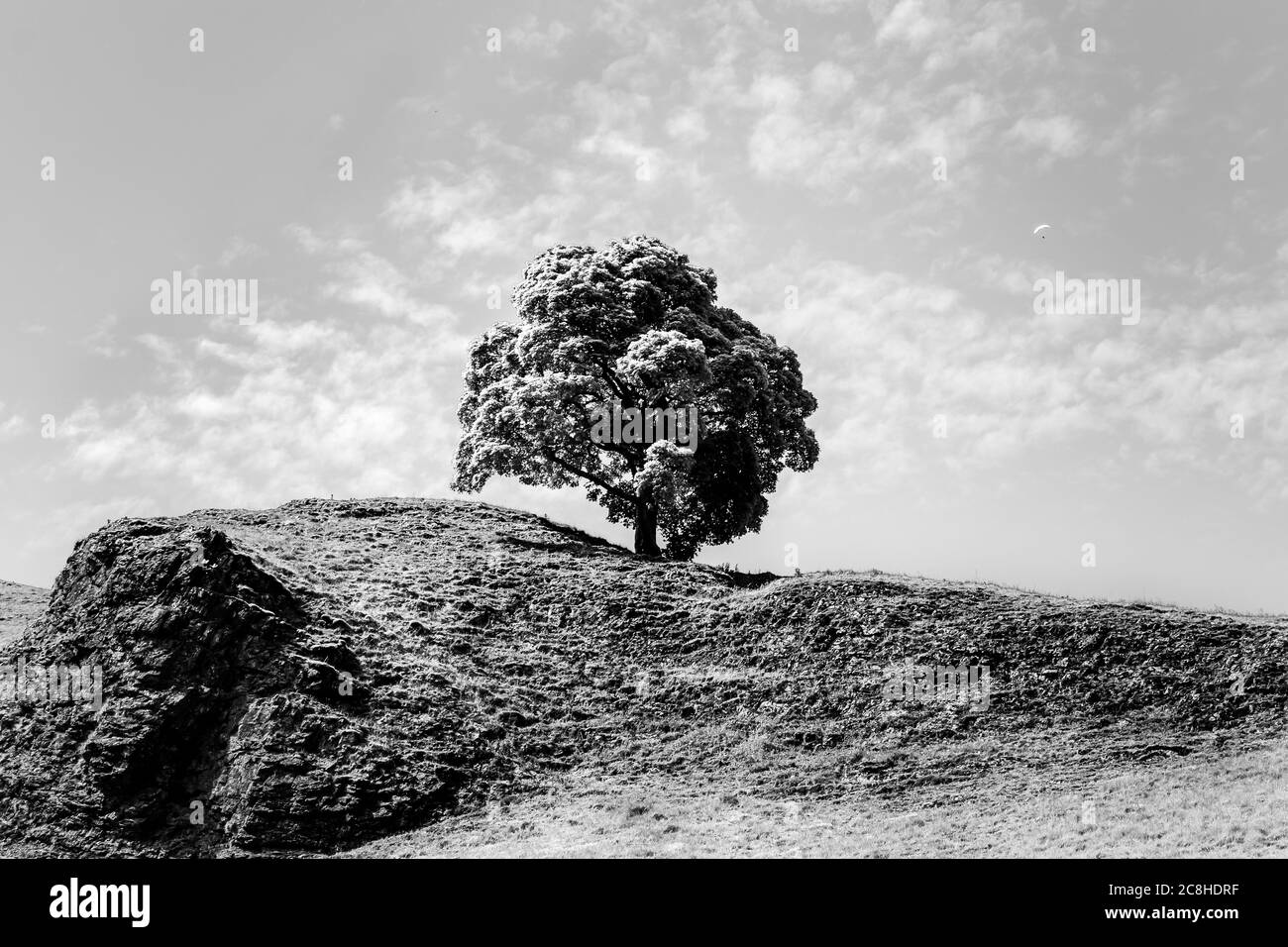 Mam background Black and White Stock Photos & Images - Alamy