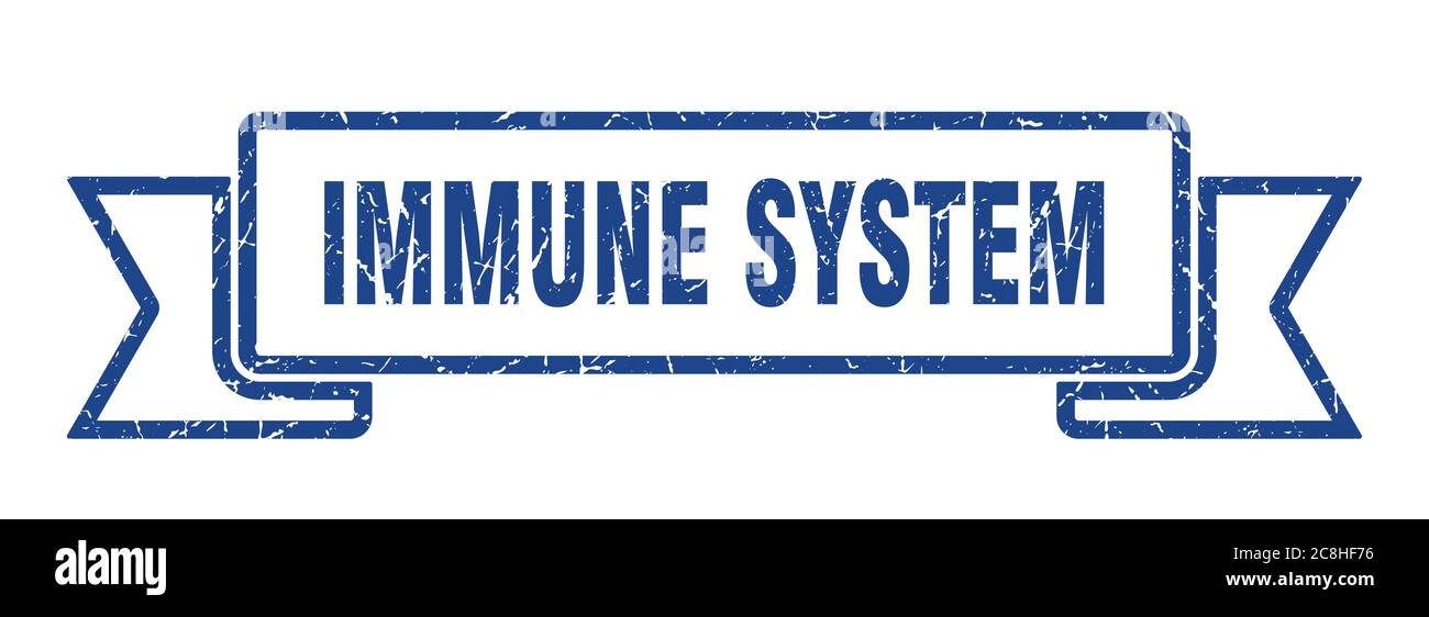 immune system ribbon sign. immune system vintage retro band Stock ...