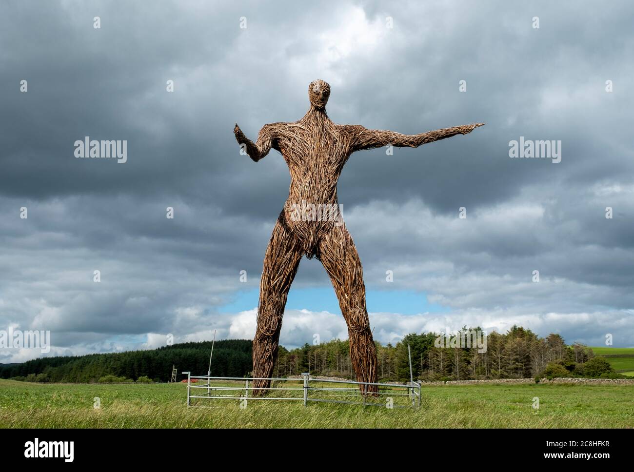 A wicker man sculpture stands with outstretched arms in a rural field ...