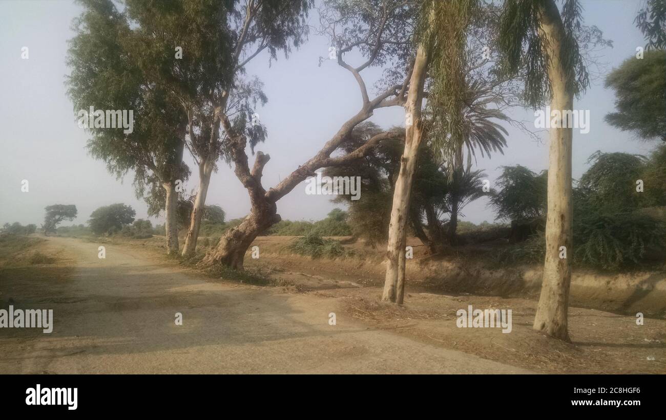 Karyo Ghanwar, Interior Sindh, Pakistan Stock Photo - Alamy
