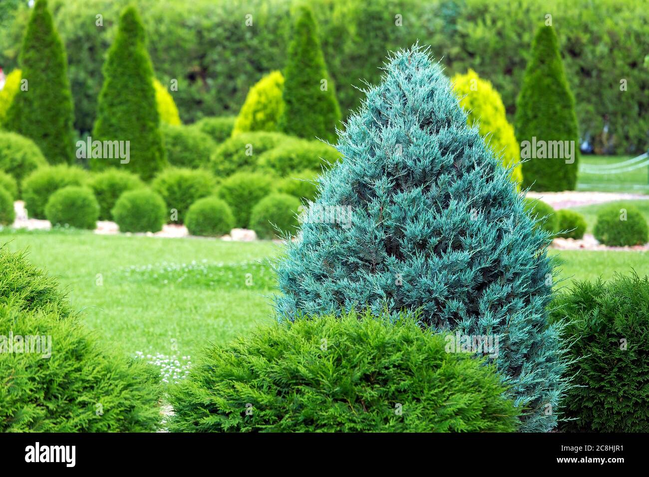 Evergreen Landscape Plan Detail