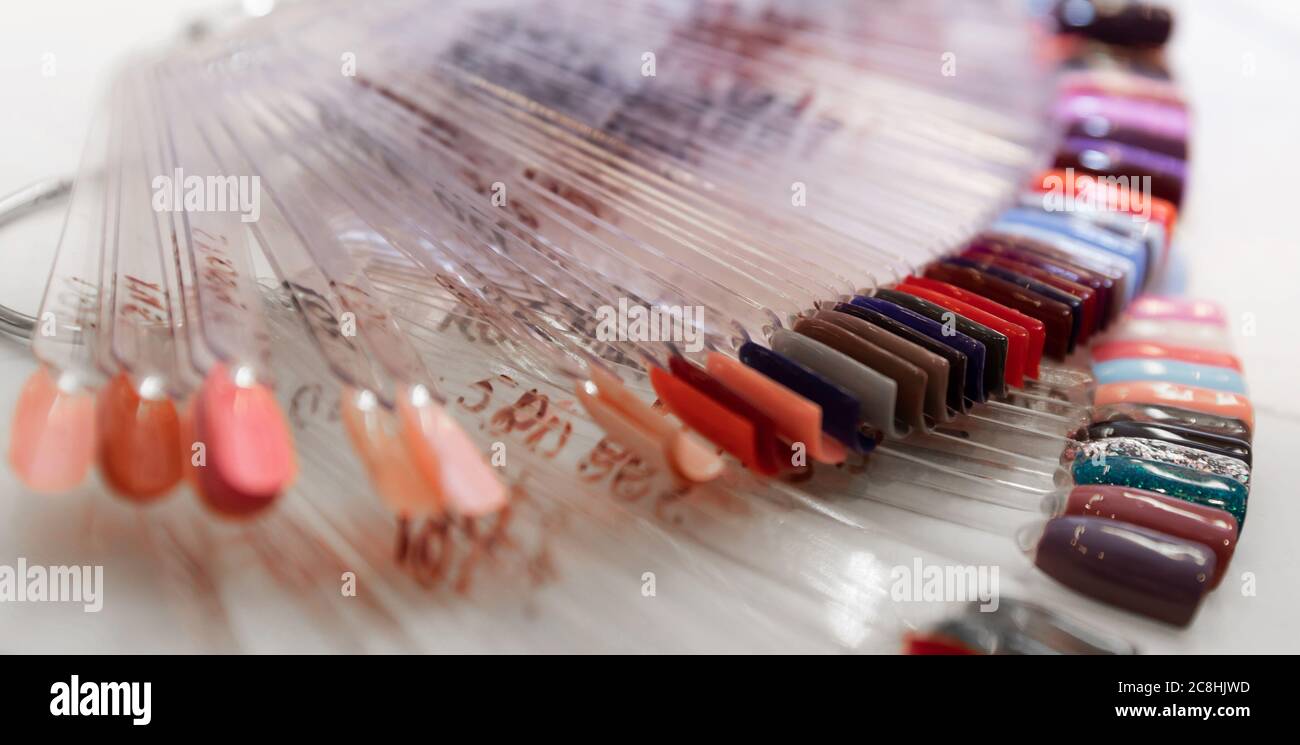 Nails variety samples for manicure. The color of Polish for manicure ...