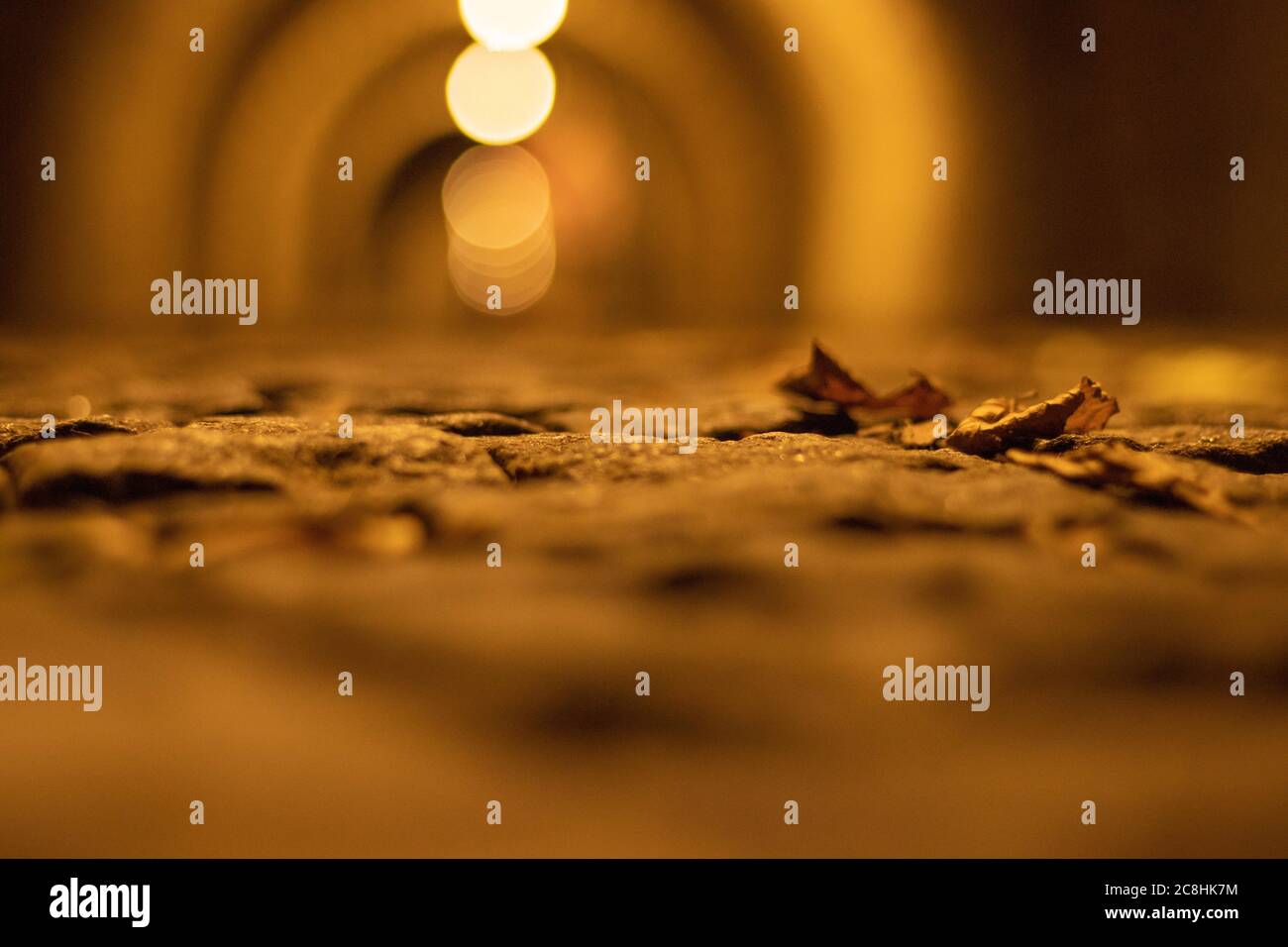 dried leaves on the ground of the pedestrian tunnel Stock Photo - Alamy