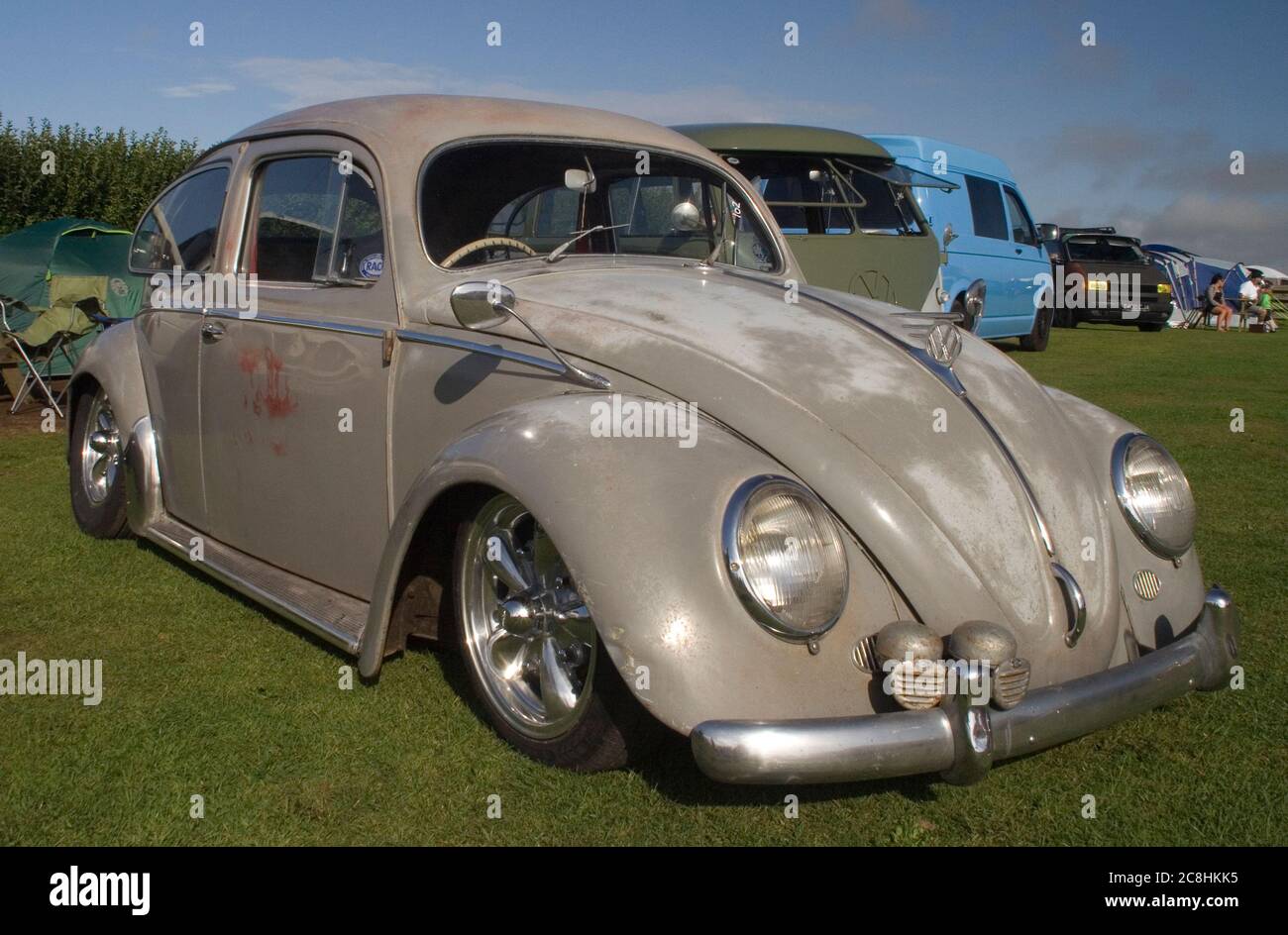 early beetle Stock Photo - Alamy