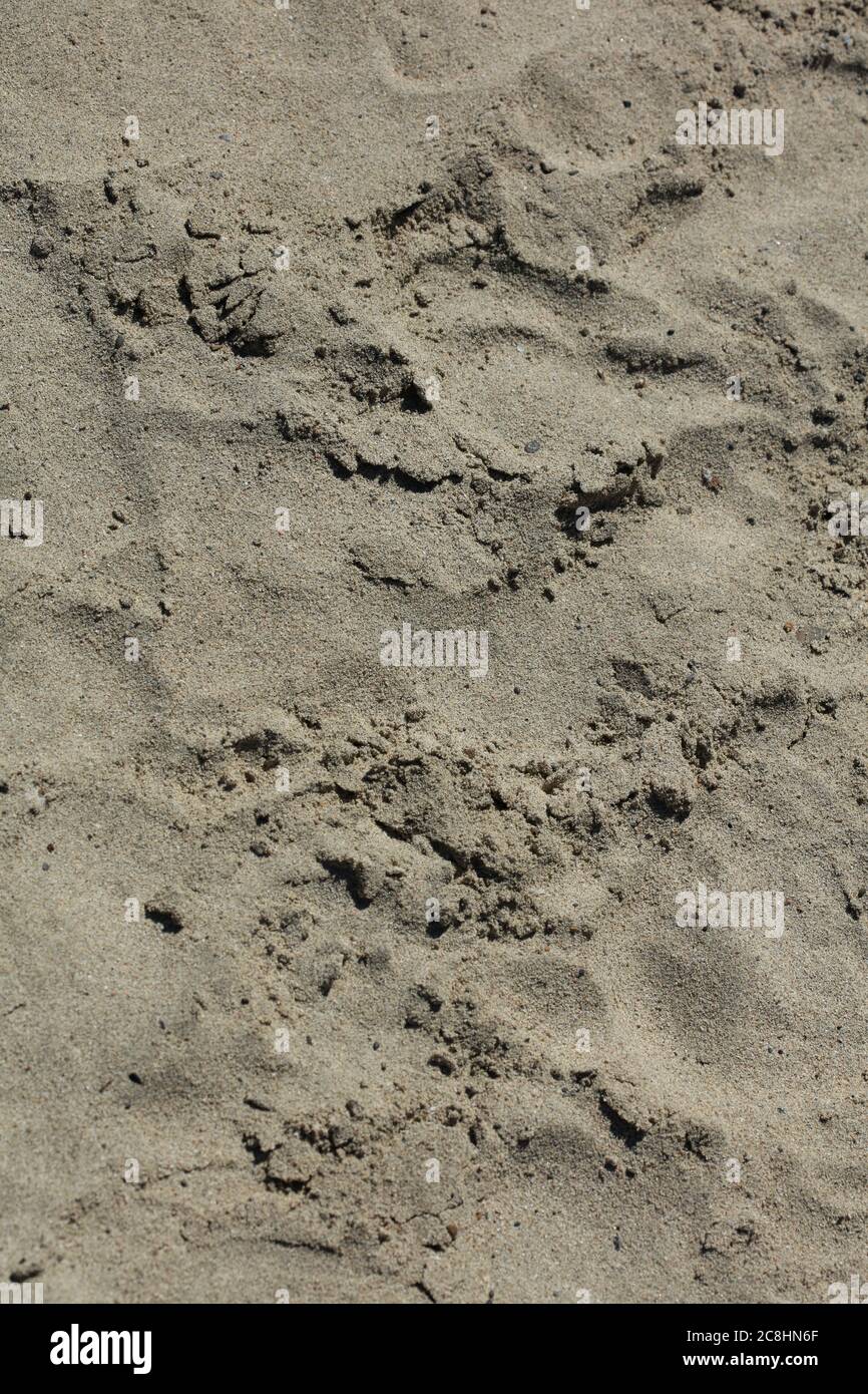 Beach sand ground macro background covid-19 june season creta island ...