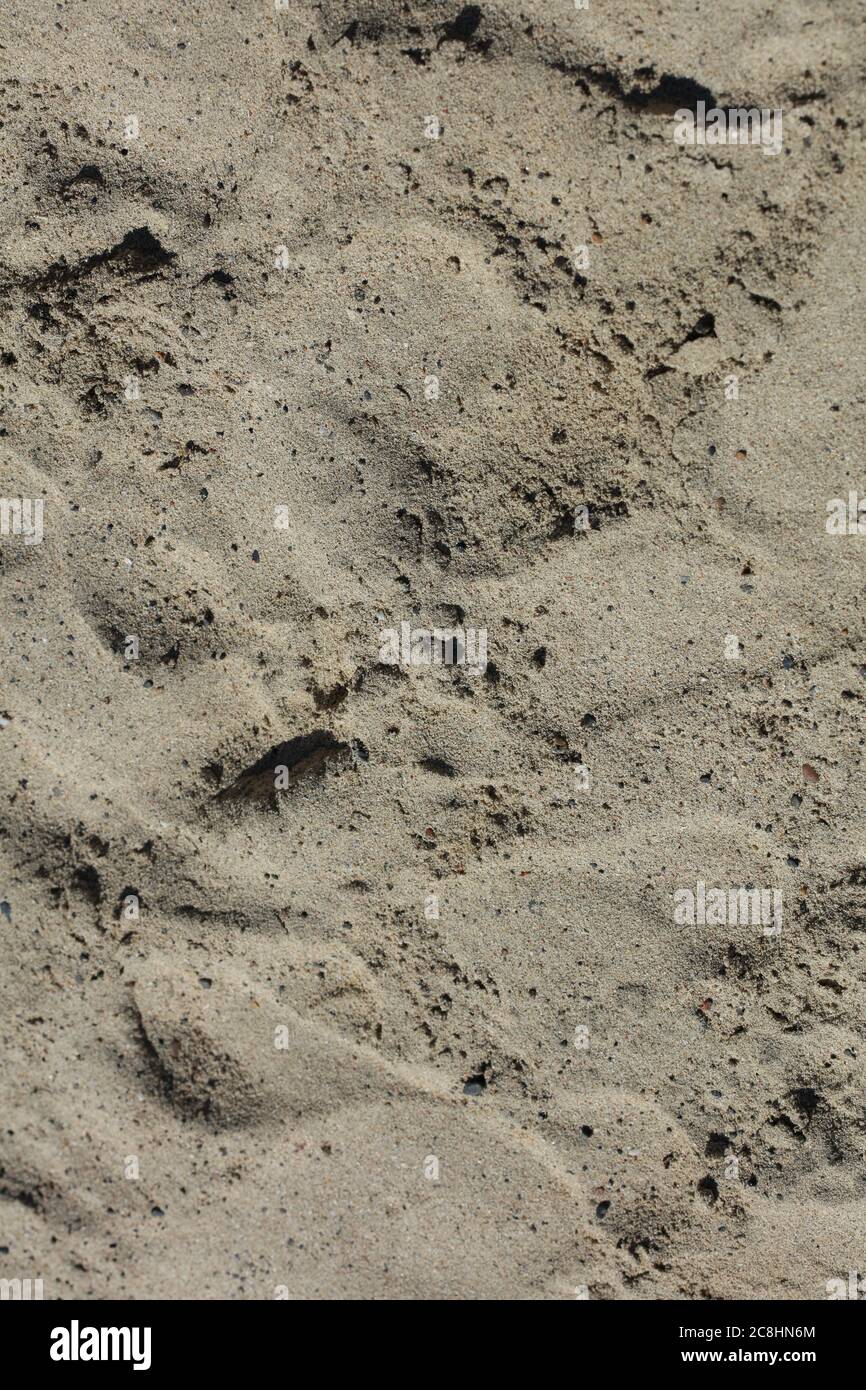 Beach sand ground macro background covid-19 june season creta island ...