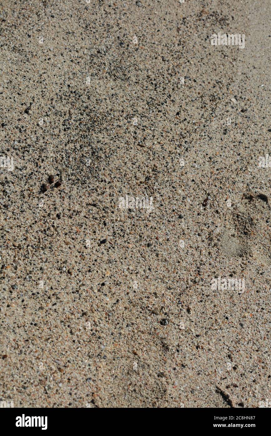 Beach sand ground macro background covid-19 june season creta island ...