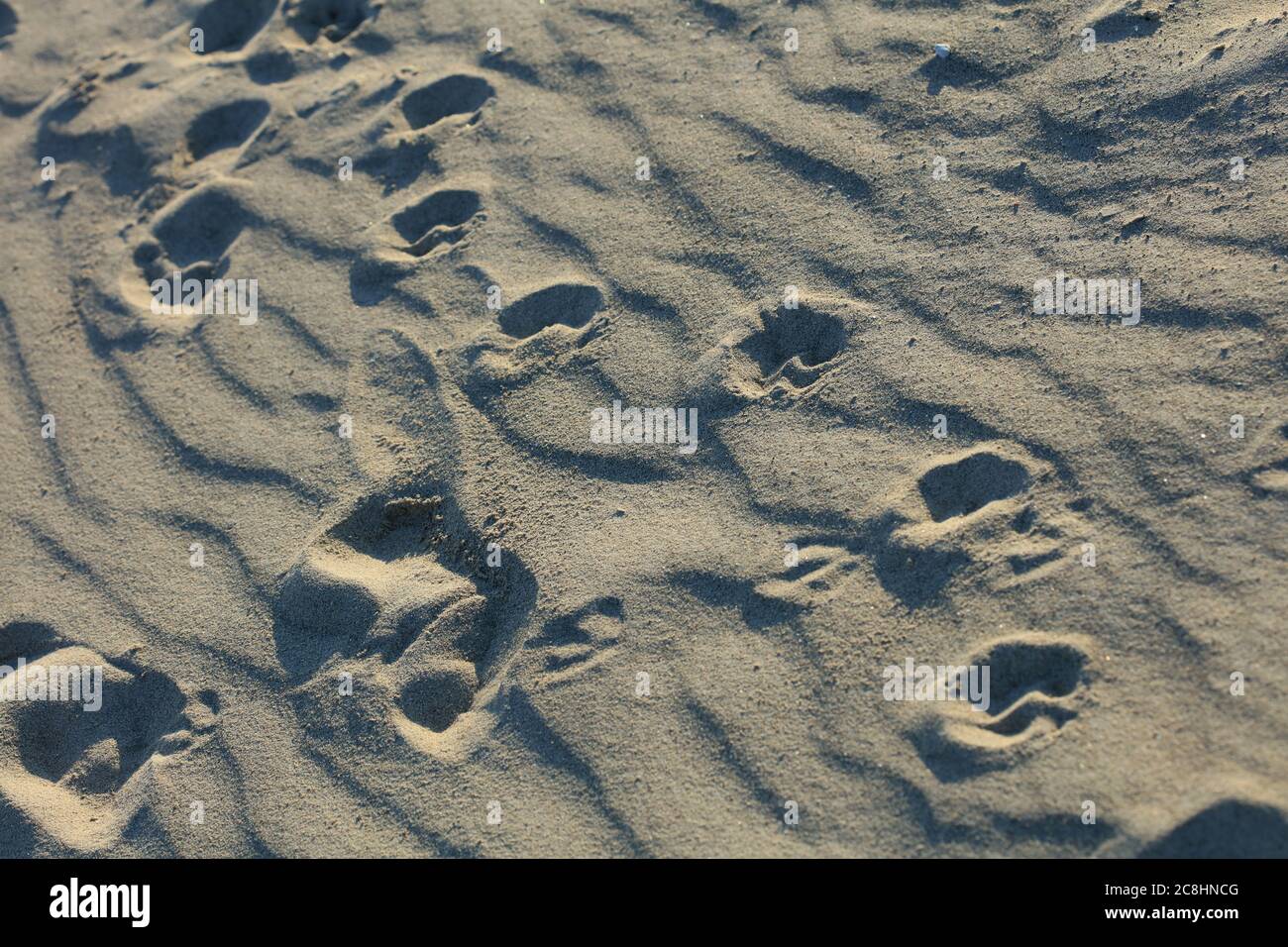 Beach sand ground macro background covid-19 june season creta island ...