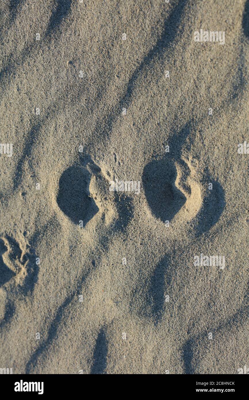 Beach sand ground macro background covid-19 june season creta island ...