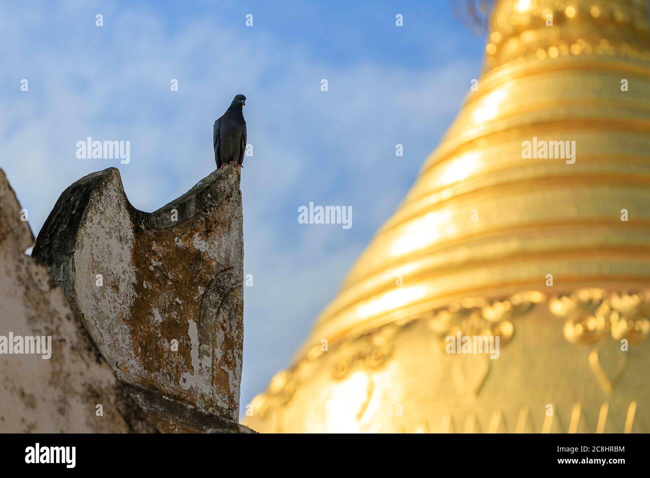 A dove perched on the roof of the church, inside the temple that has a ...