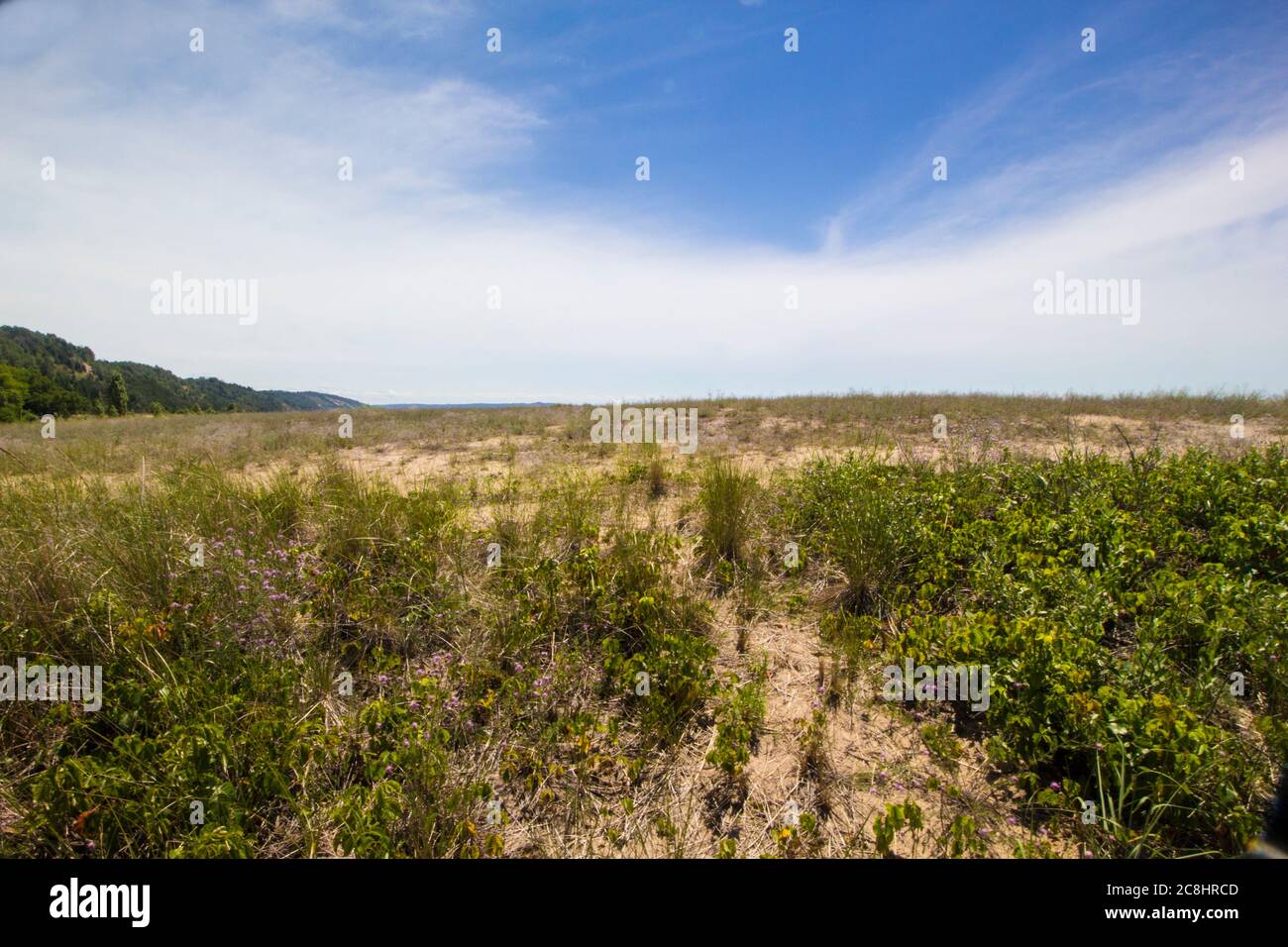 Elberta hi-res stock photography and images - Alamy