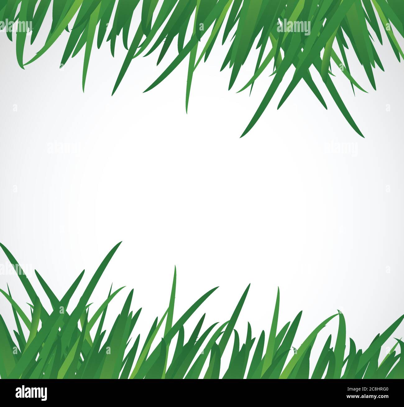 Green grass border illustration design over a white background Stock ...
