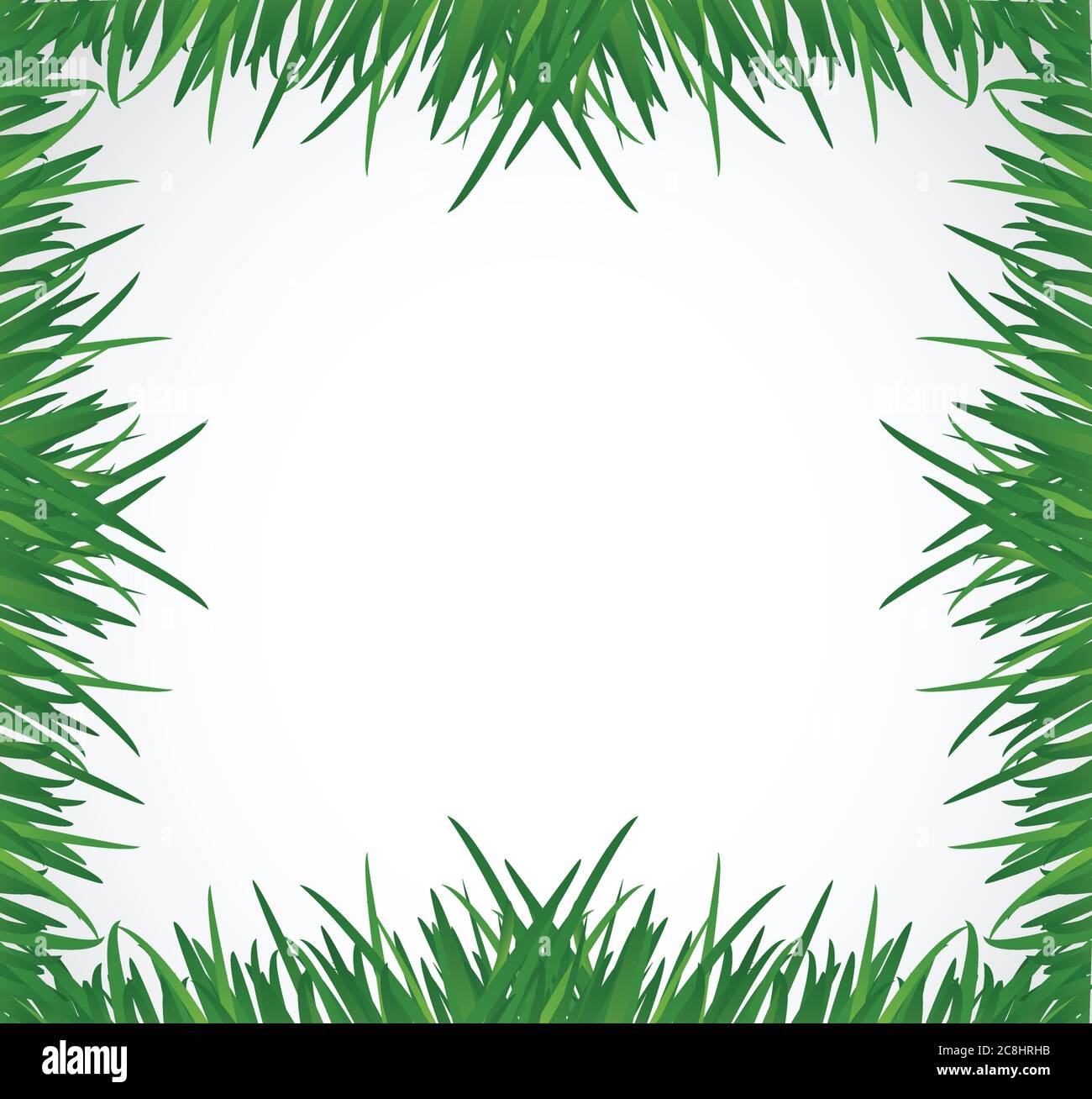 Green grass border illustration design over a white background Stock ...