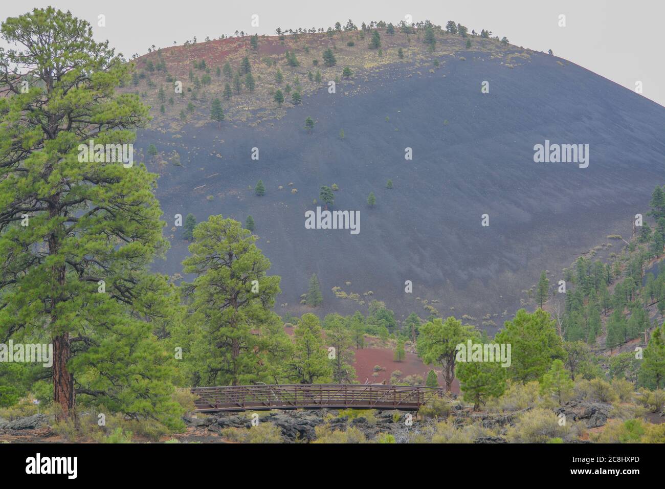 Bridge Over Ravine High Resolution Stock Photography and Images - Alamy