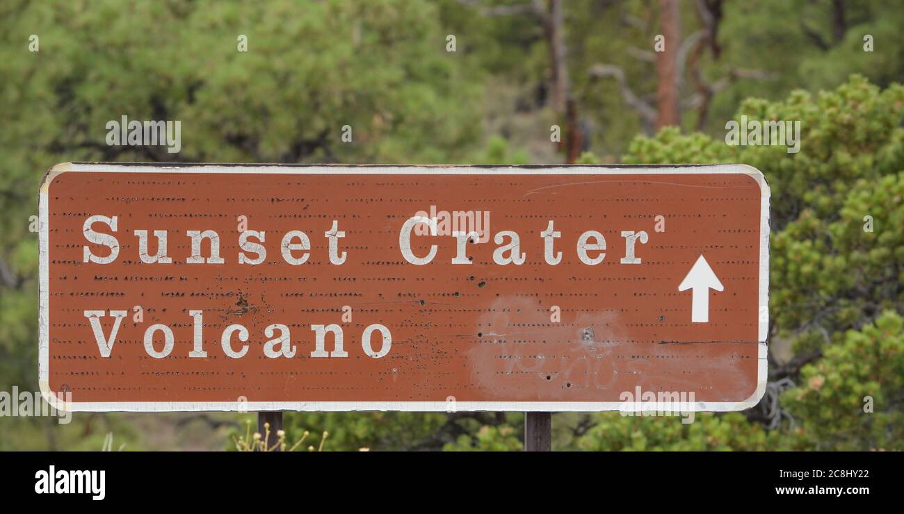 Sunset Crater Volcano is a Cinder Cone. It has Ponderosa Pine trees on ...