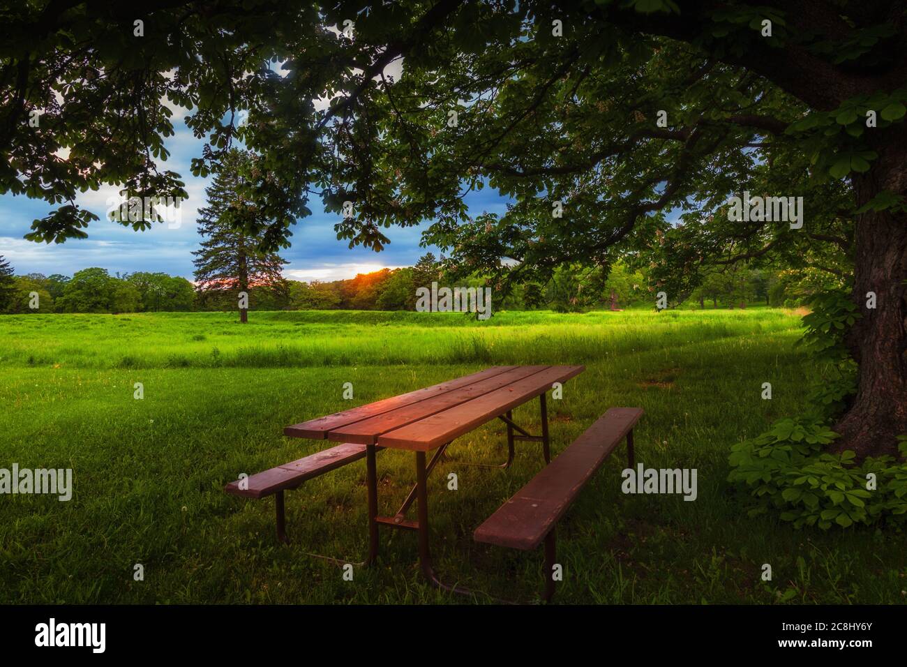 Picnic bench in the woods Stock Photo - Alamy