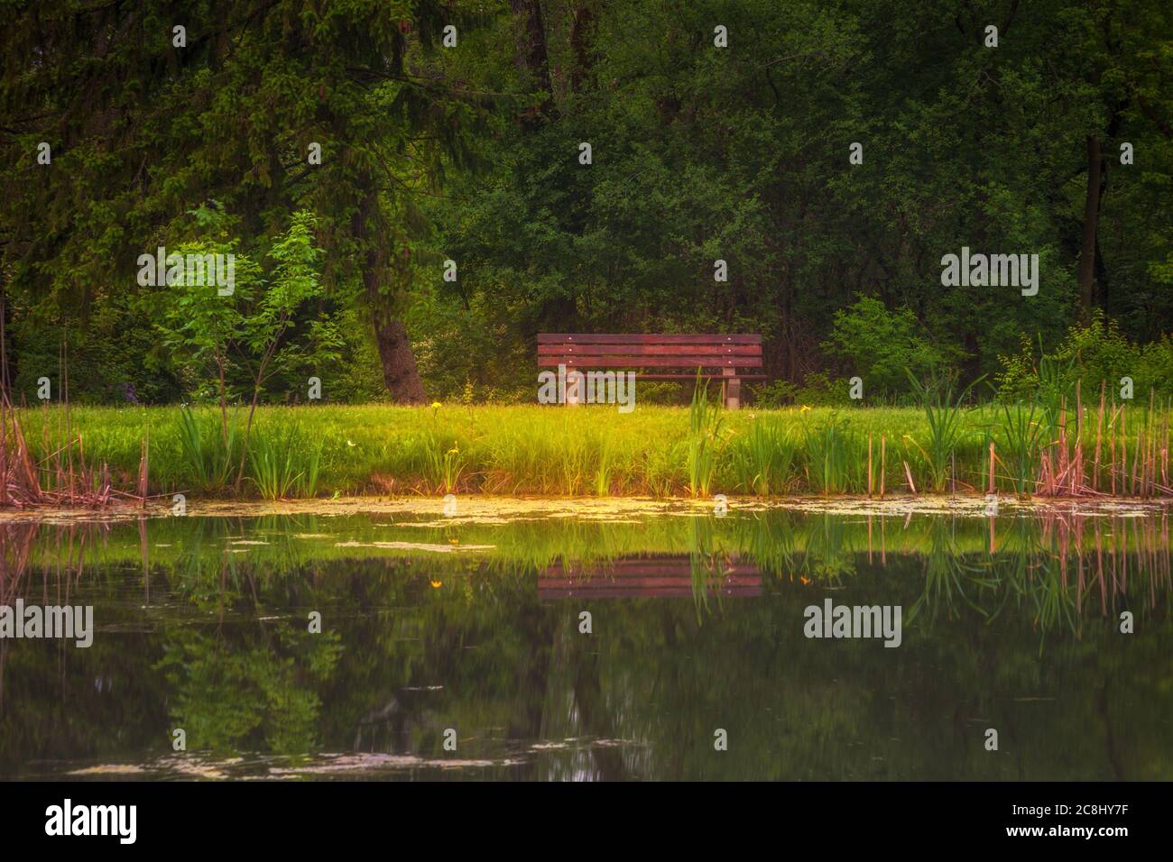 Pond with bench hi-res stock photography and images - Alamy