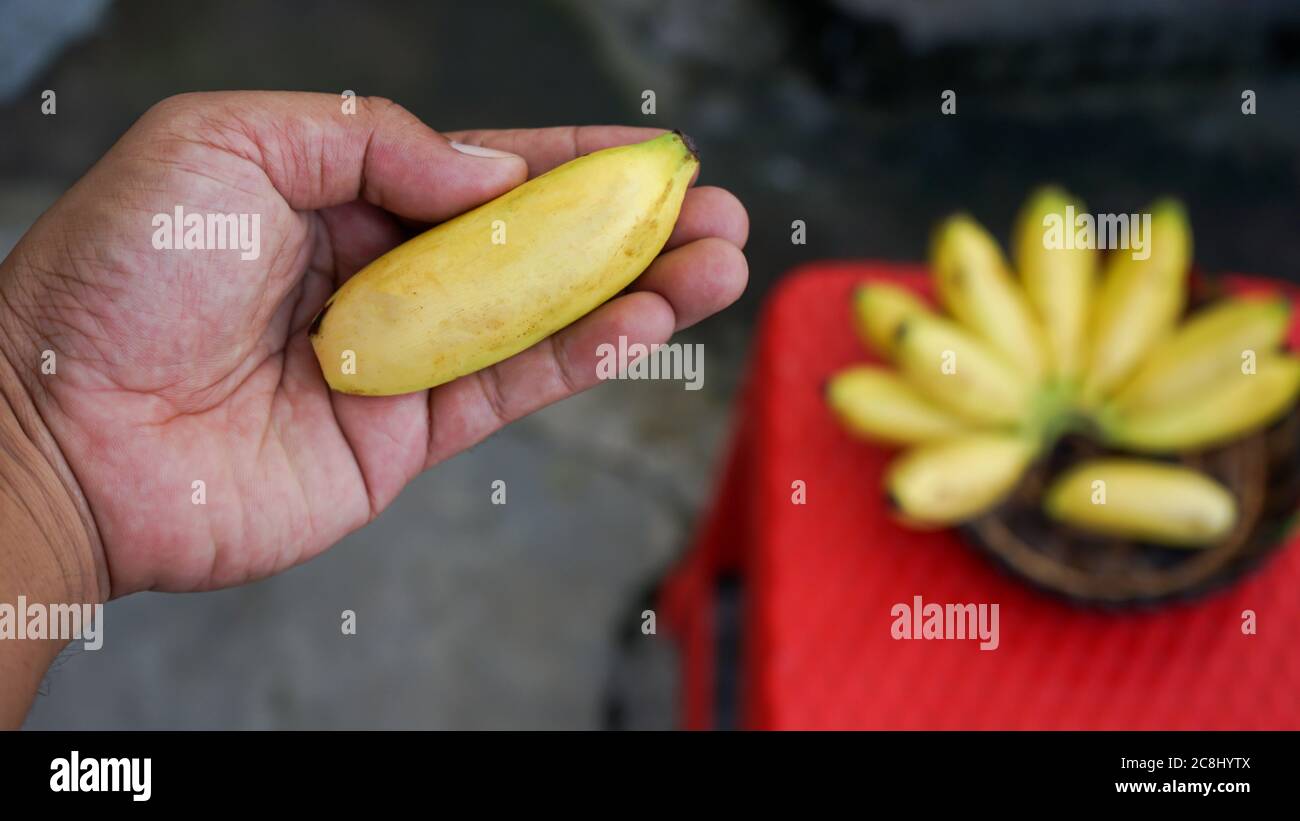 Bananas close up ripe hi-res stock photography and images - Alamy