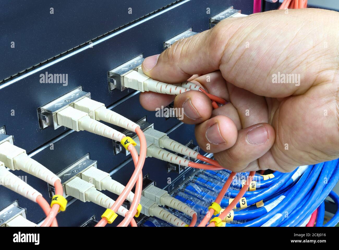 Technician connect fiber cable network to switch port in server room ...