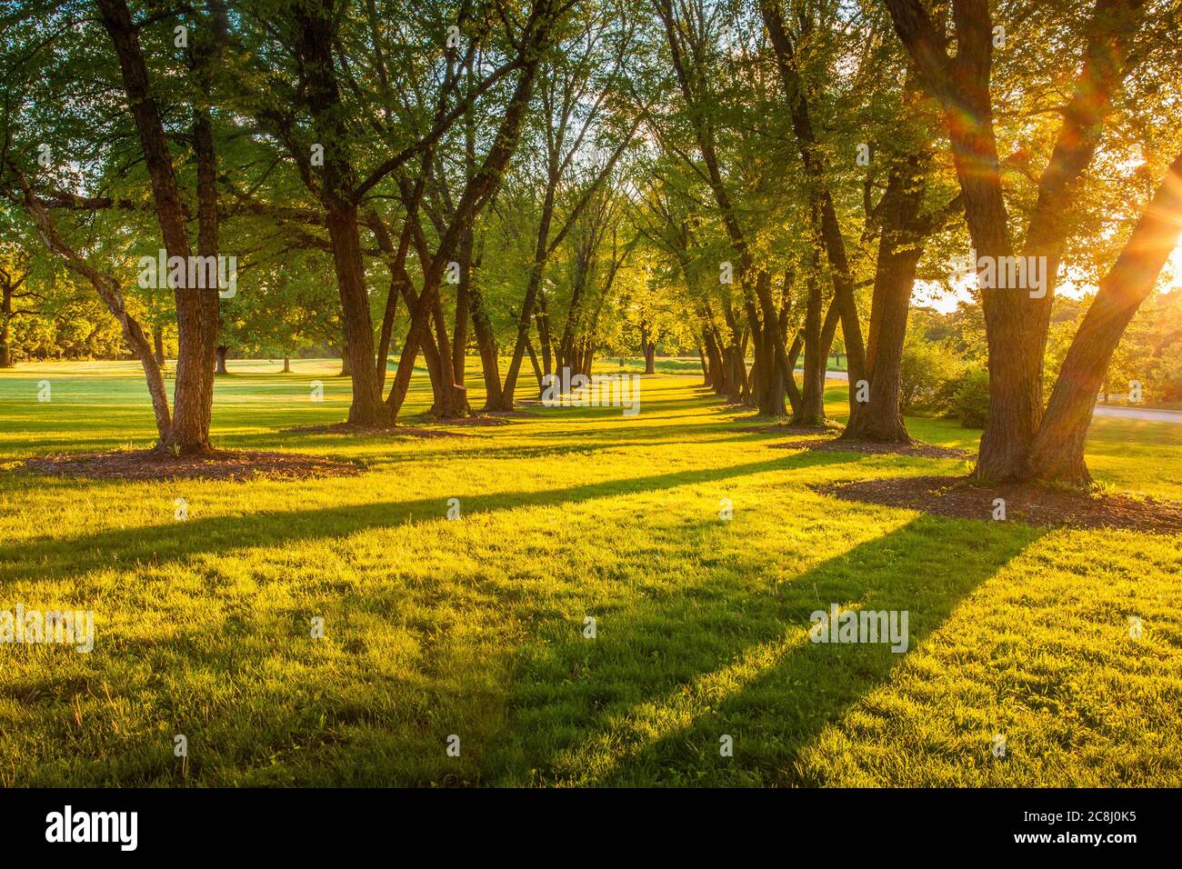 Wooded tree line hi-res stock photography and images - Alamy