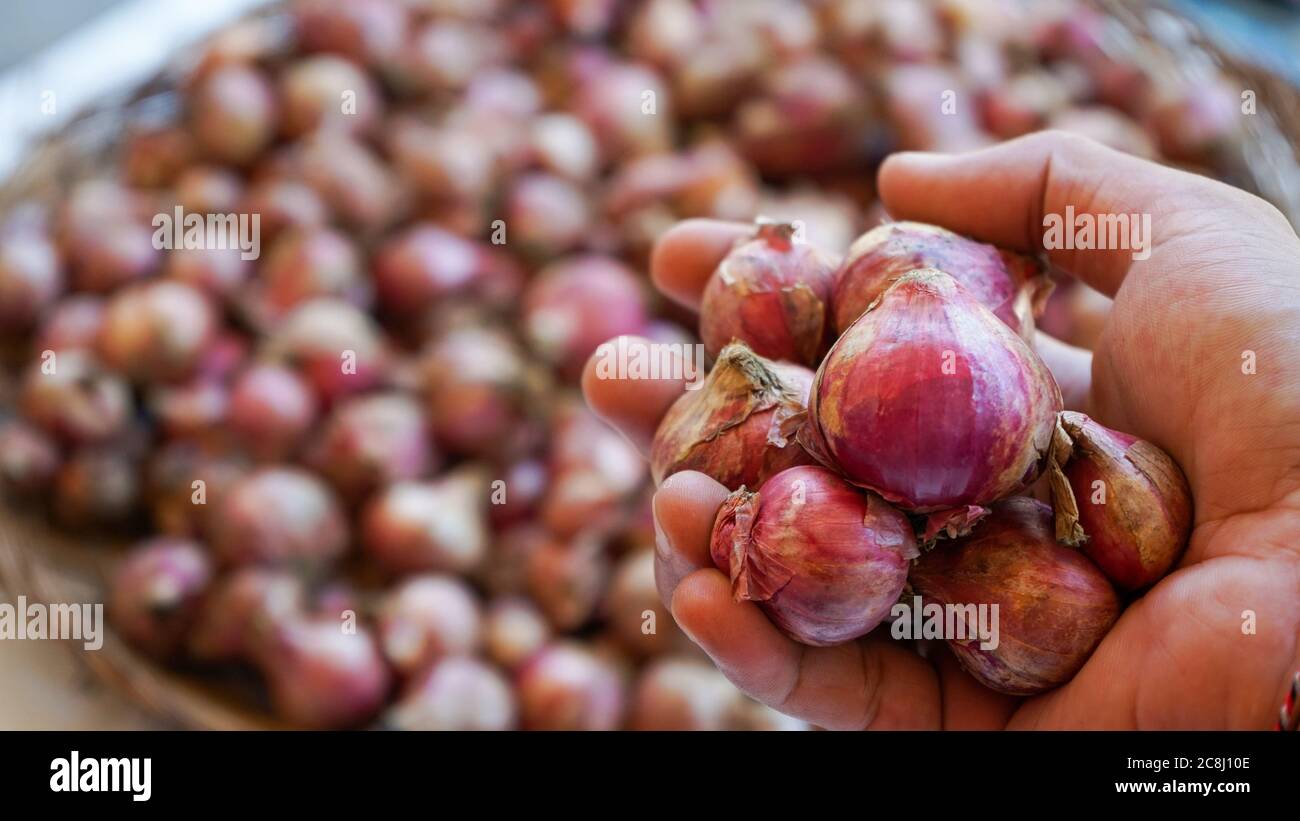 Close up the onion Stock Photo - Alamy