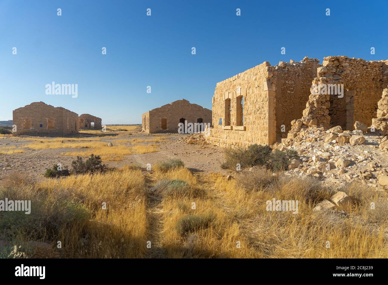Vacation in Israel for ruins and history in national park of desert ...