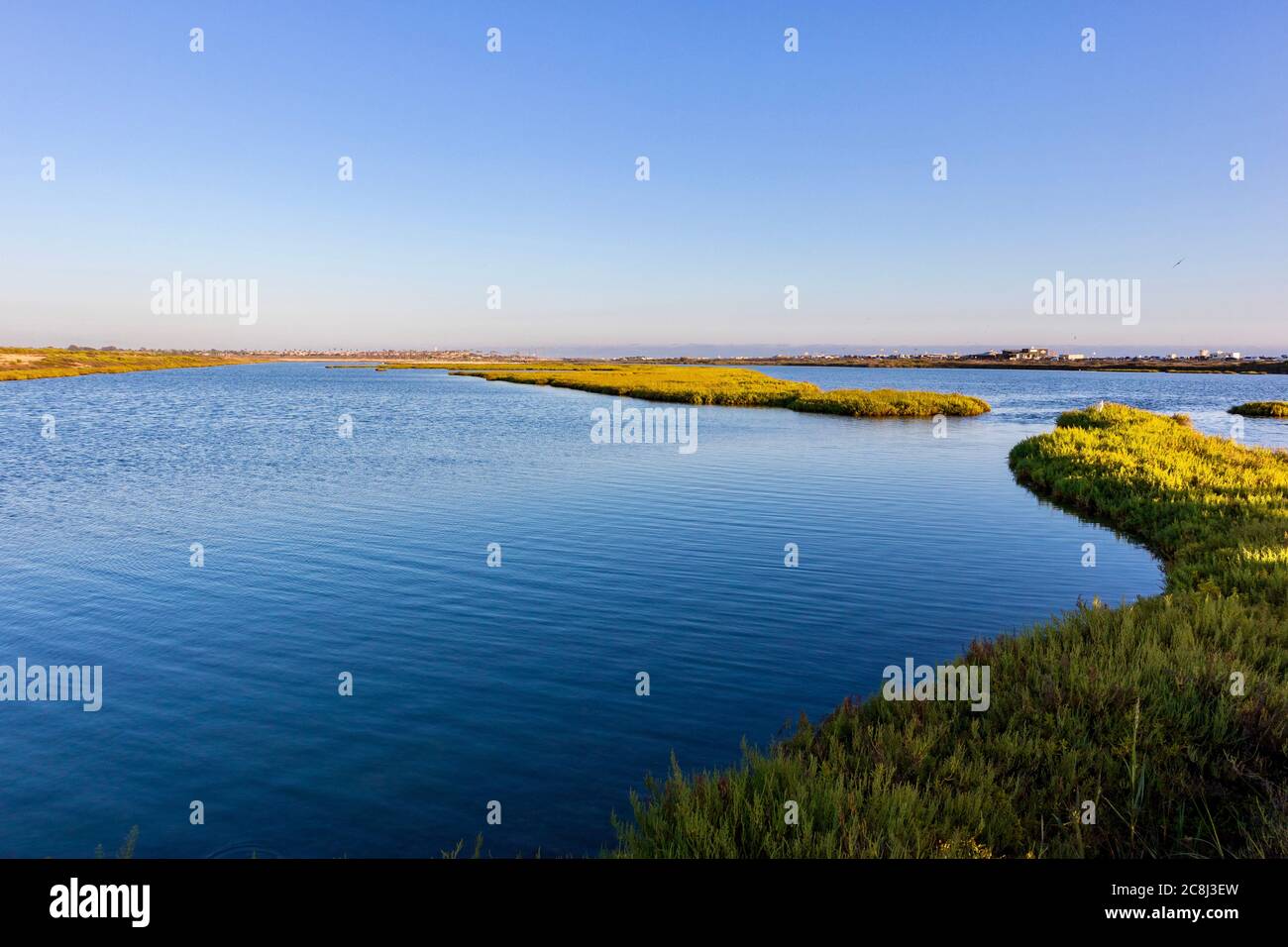 Green swamp wilderness preserve hi-res stock photography and images - Alamy