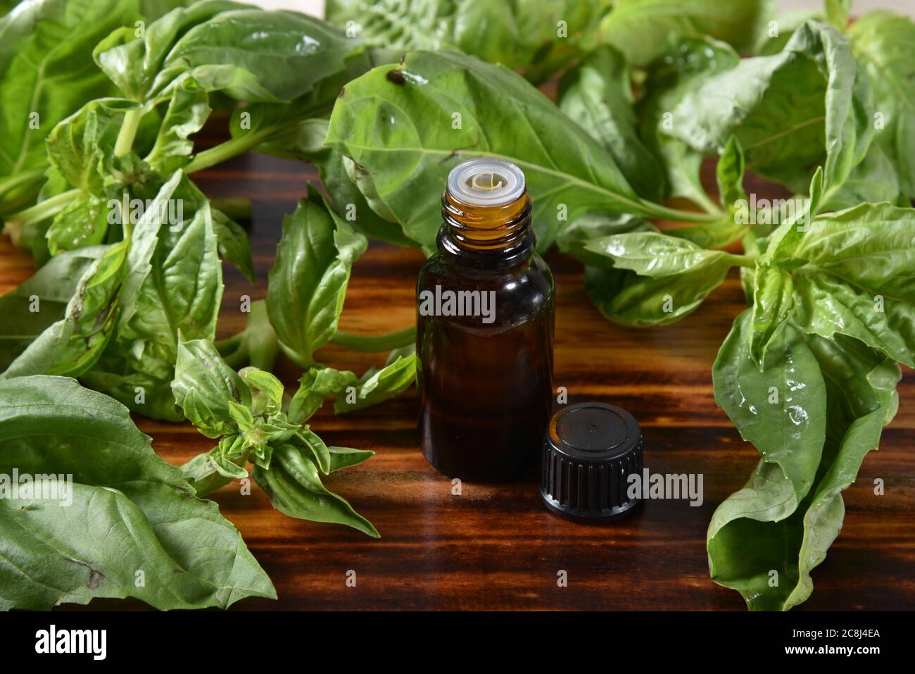 Basil oil aromatherapy hi-res stock photography and images - Alamy