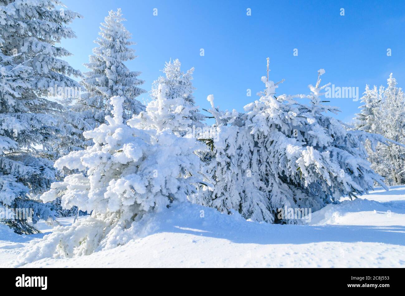 Typical winter scenery hi-res stock photography and images - Alamy