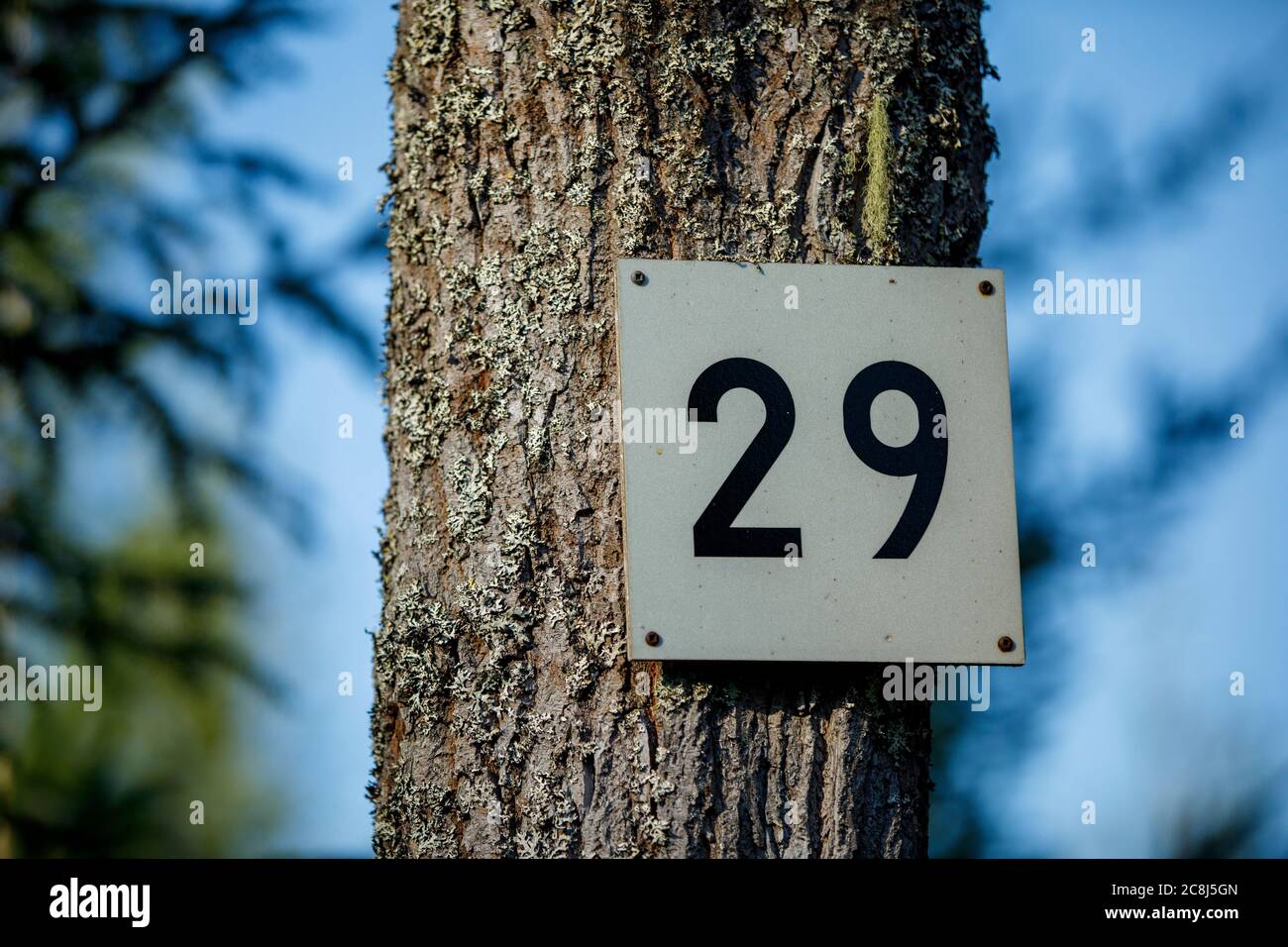 Number tree hi-res stock photography and images - Alamy