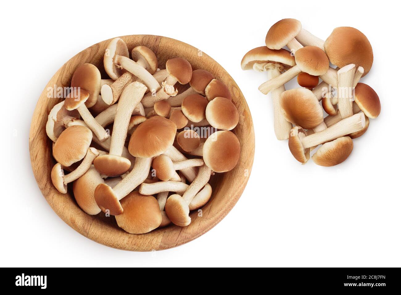 honey fungus mushrooms in wooden bowl isolated on white background with ...