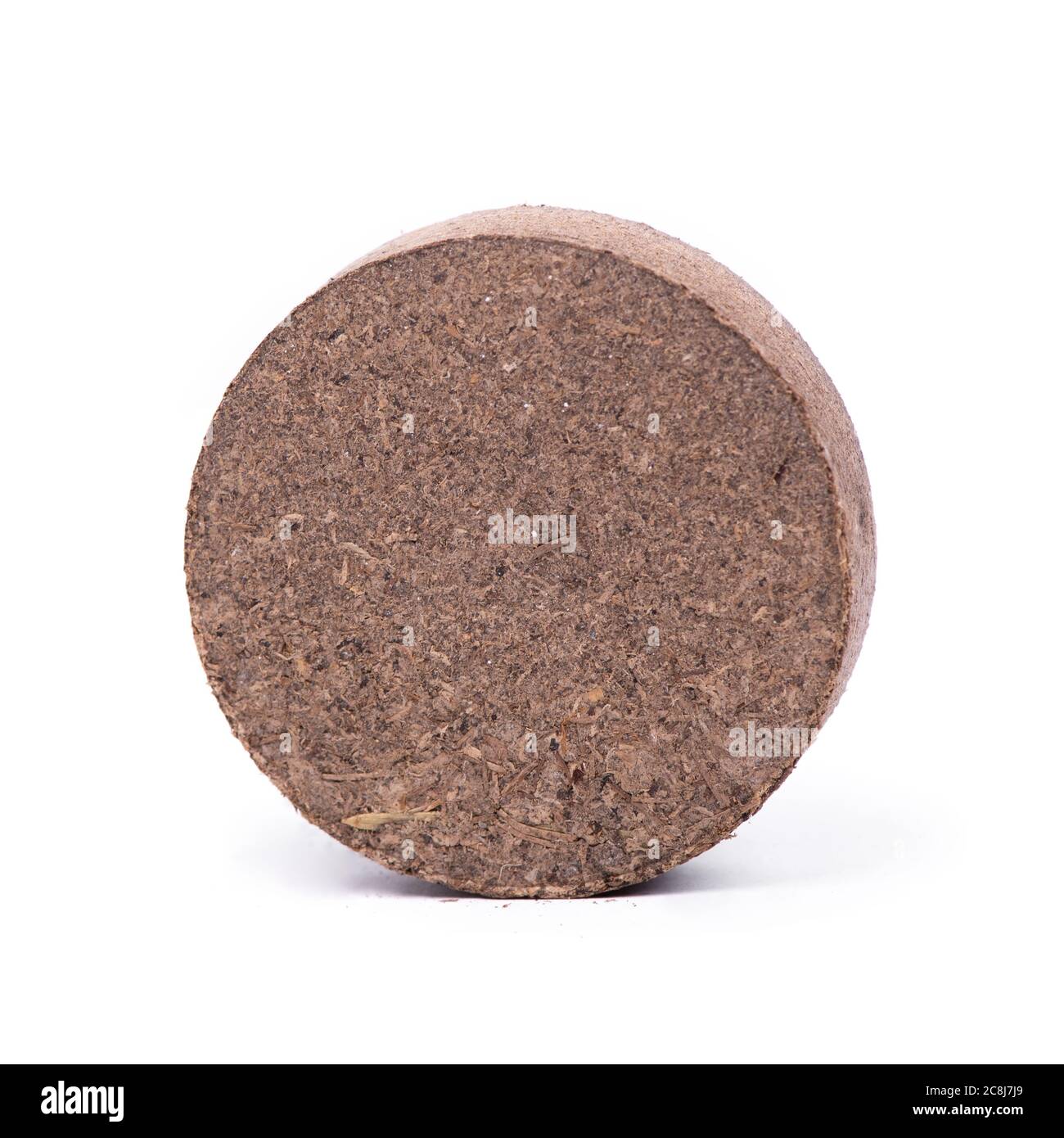 Dry peat pellets, compressed compost tablet isolated over the white ...