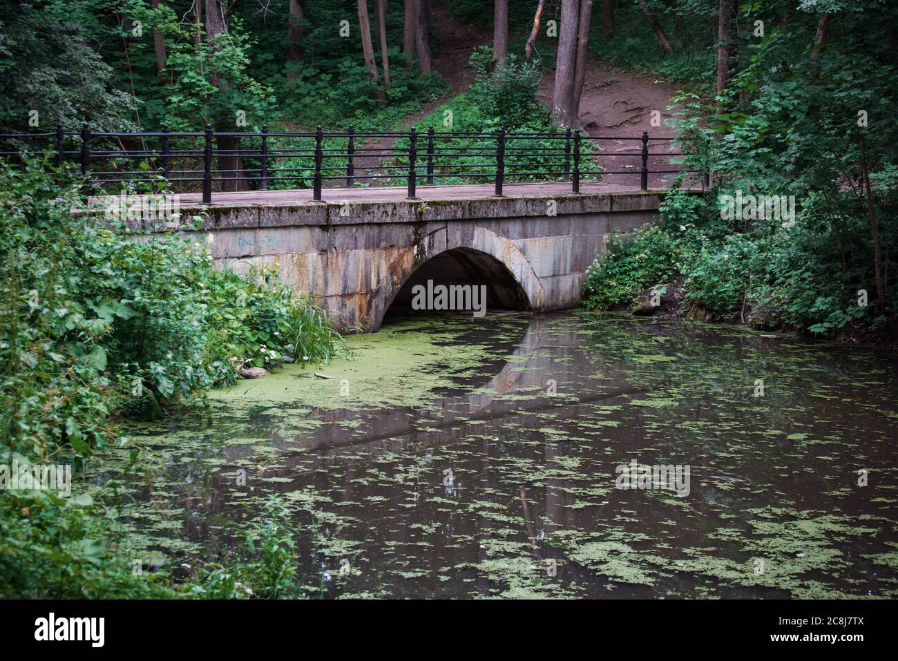 Stone bridge over a pond with greenery Stock Photo - Alamy