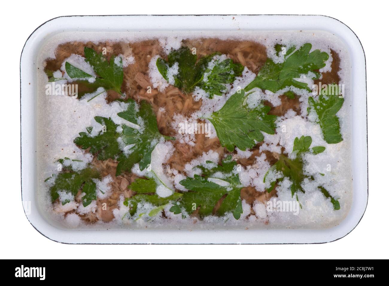 Meat jelly on the plate isolated over white background Stock Photo - Alamy