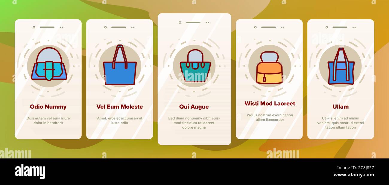 Women Bag Accessory Onboarding Icons Set Vector Stock Vector Image ...