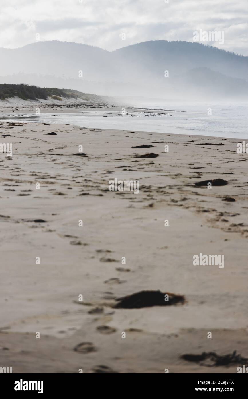 pristine untouched Australian beach in Marion Bay in Tasmania with no ...