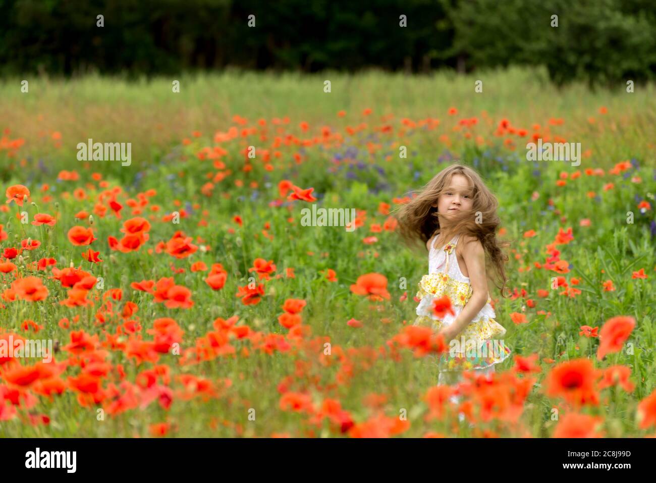 Adorable girl 6 years old in a bright poppy field. Portrait of a cute ...