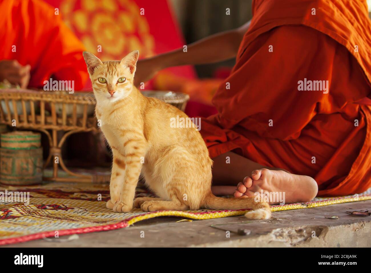 Novice monk in rural laos hi-res stock photography and images - Alamy
