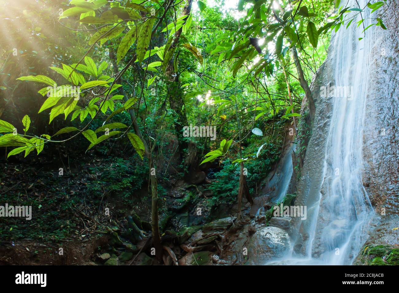 Sunbeam falls hi-res stock photography and images - Alamy