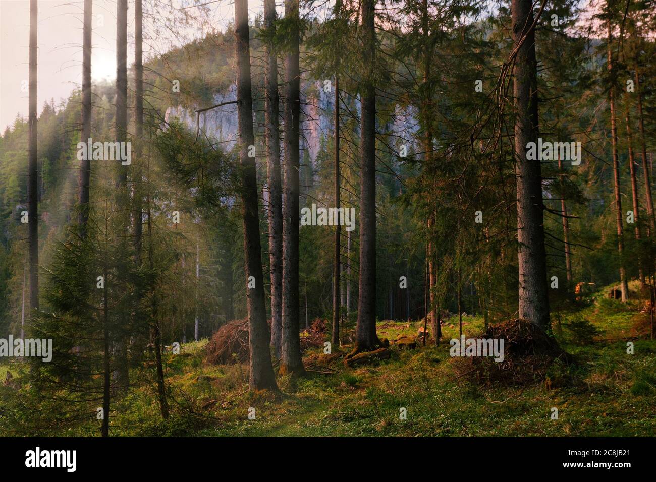 Nightmare scenery hi-res stock photography and images - Alamy