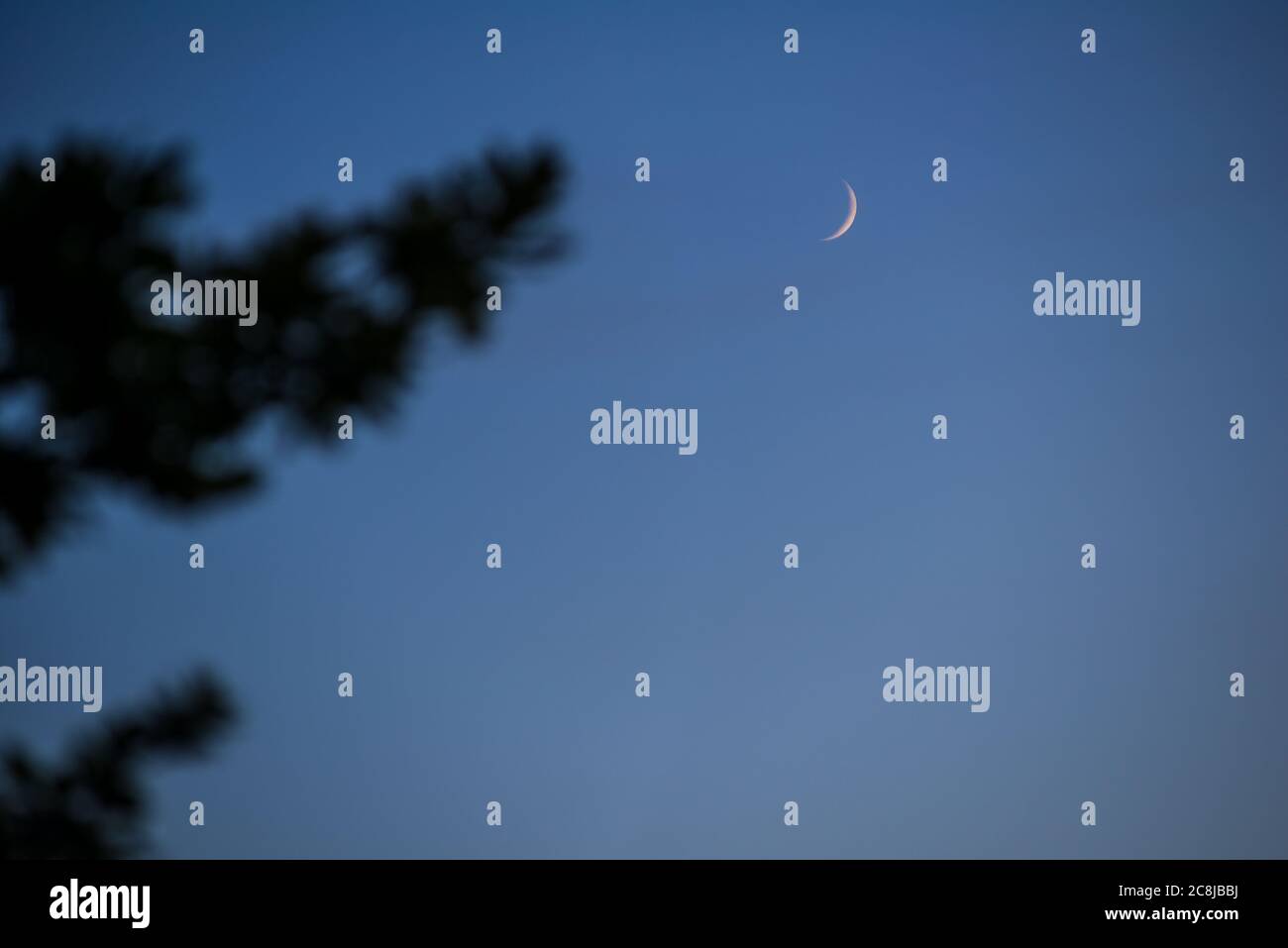 Falling leaves moon hi-res stock photography and images - Alamy