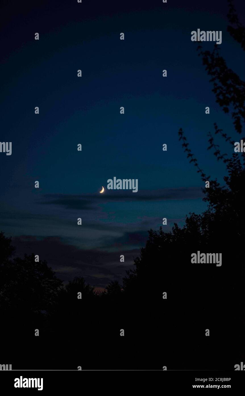 Crescent moon setting over the forest Stock Photo - Alamy